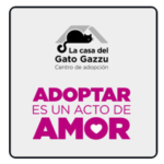 Home | La Casa del Gato Gazzu