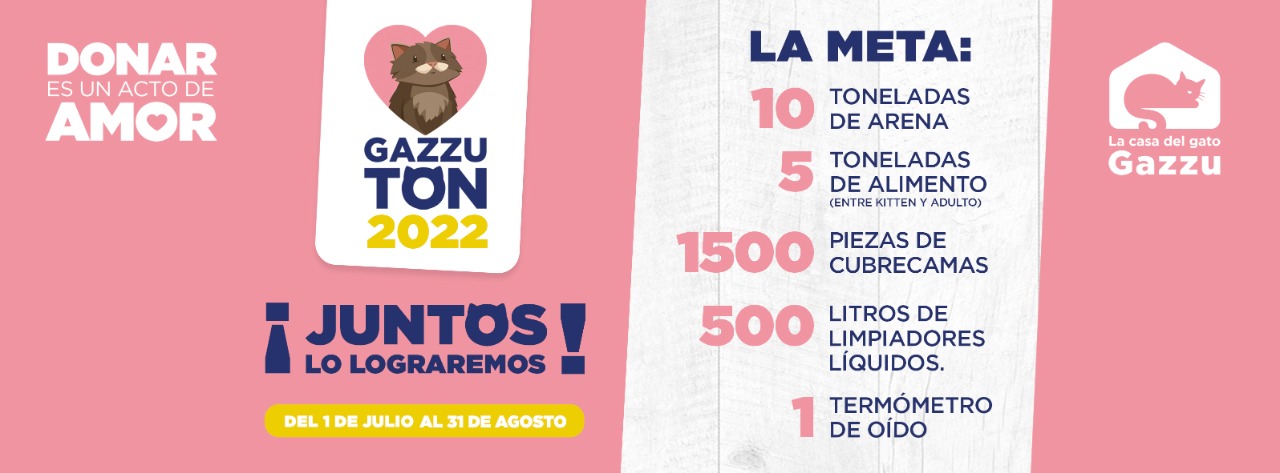 Home | La Casa del Gato Gazzu