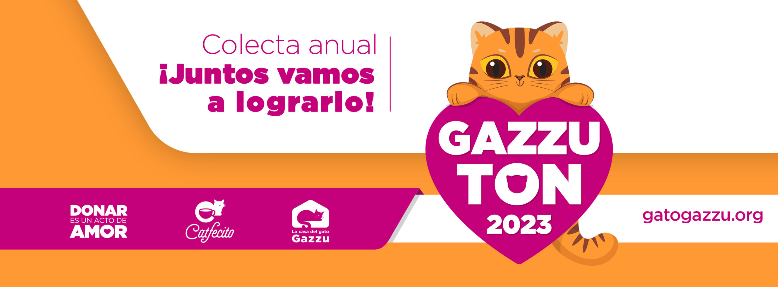 Home | La Casa del Gato Gazzu