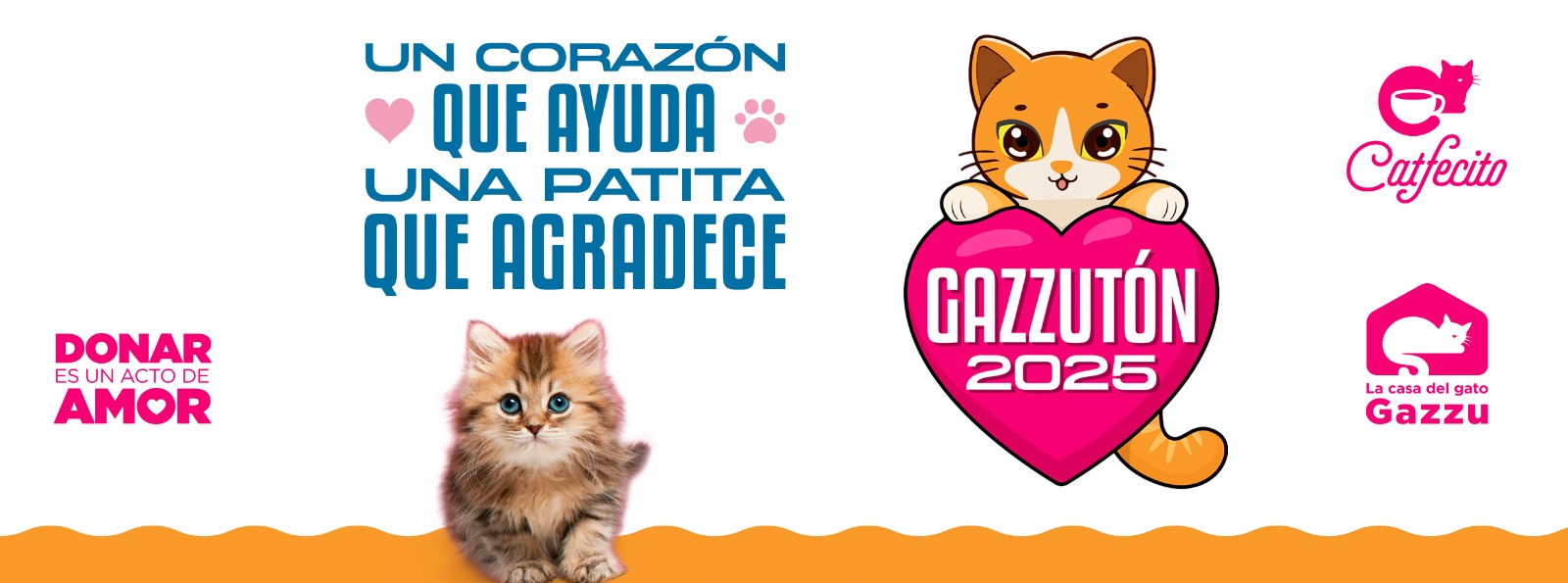 Gazzutón | La Casa del Gato Gazzu