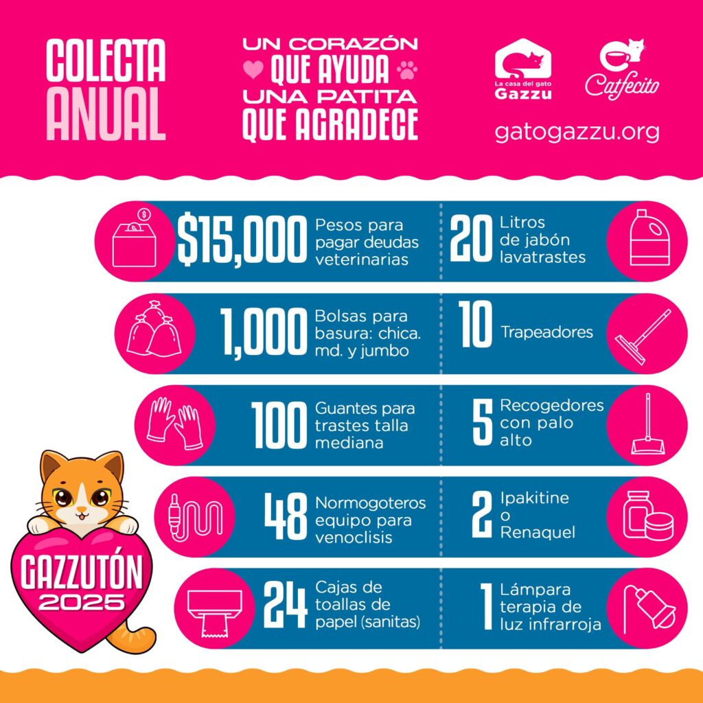 Gazzutón | La Casa del Gato Gazzu